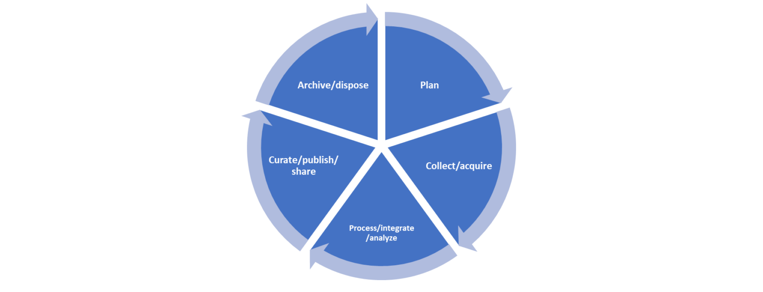 Navigating Data Governance: A Guiding Tool for Regulators | Digital ...